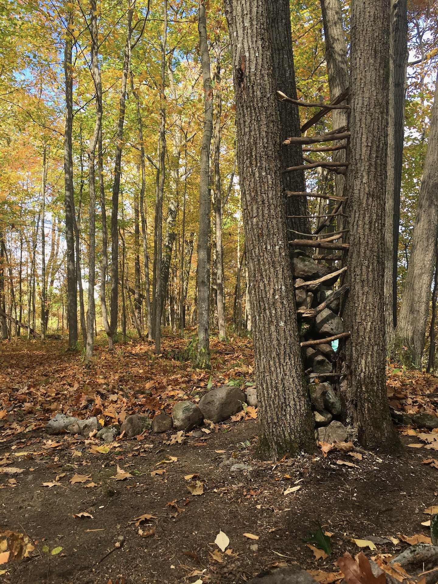 Art on the Trail – BRISTOL RECREATION CLUB